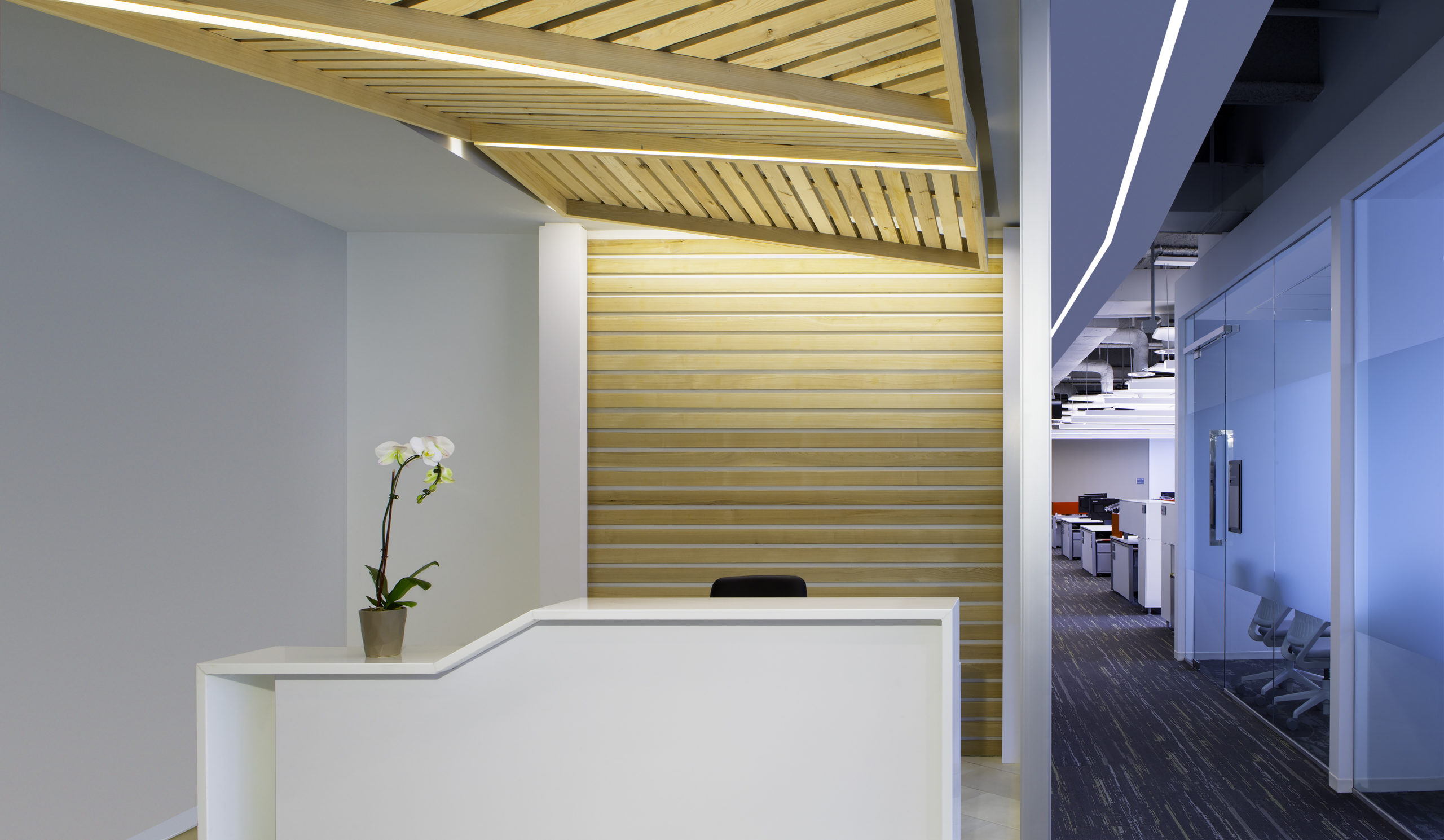 Consulting Firm Office - Acolyte